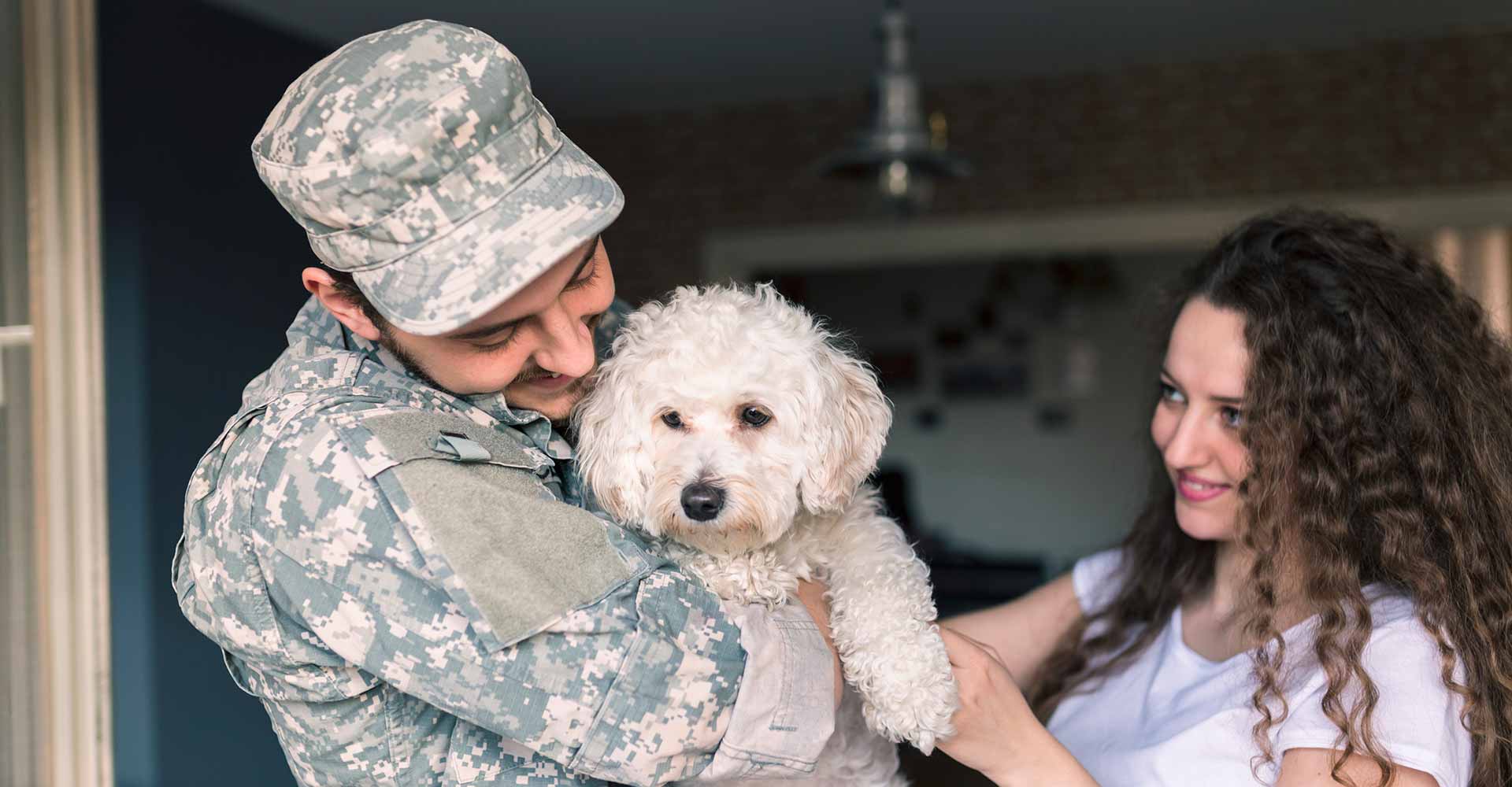 Military Pet Relocation Made Easy – Island Pet Movers